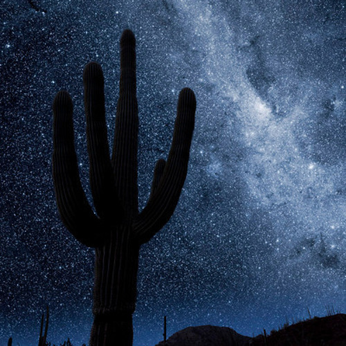 Stream Karate Cactus | Listen to Karate Cactus playlist online for free ...