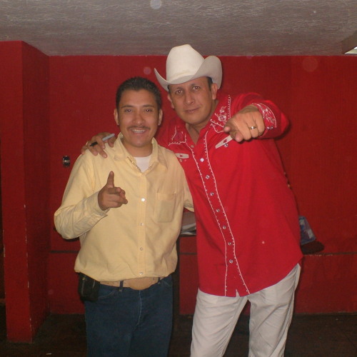 Stream castillonito | Listen to el guerito elizalde playlist online for ...