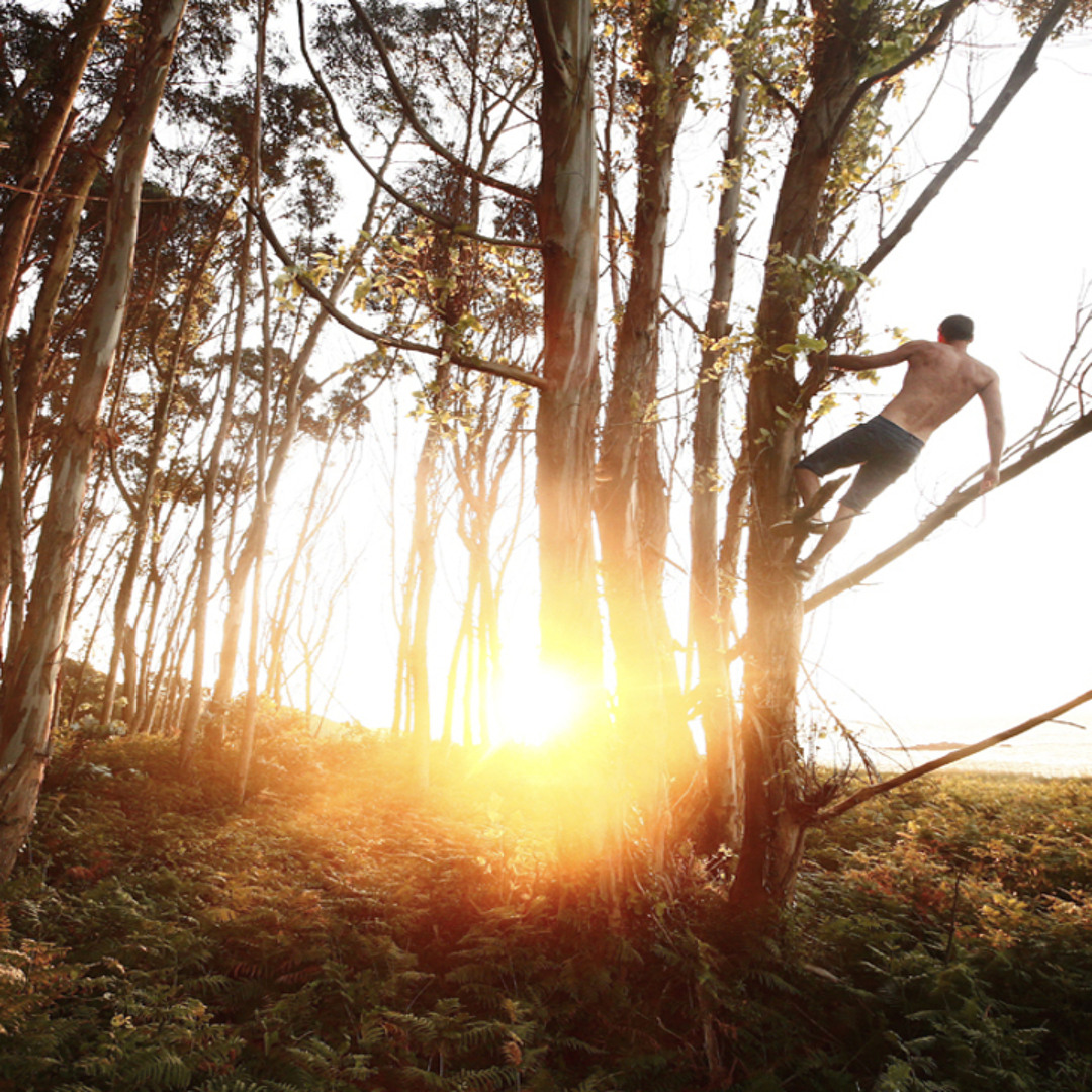 Stream Kenichiro Nishihara - Beautiful Things Remix (ft. Amanda Diva) by Datucha Meskhi | Listen ...