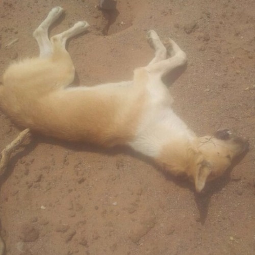 Stream Ghfgj by Ali_Herisani | Listen online for free on SoundCloud