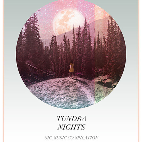 Stream sicandthemusic | Listen to Tundra Nights - SIC Music Compilation ...