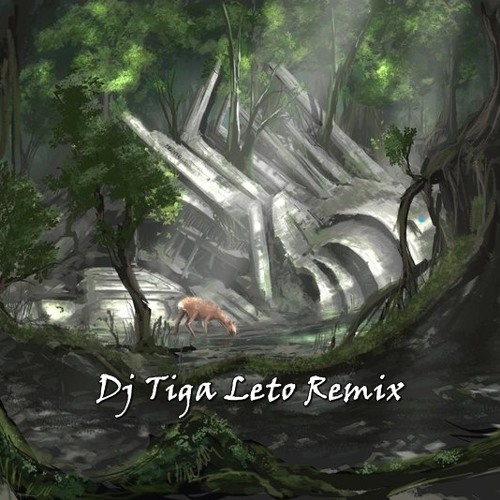 Stream Jungle Starships (DJ Tiga Leto Bootleg) by Djééy Tiga Leto ...