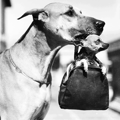 Stream Inside Out by digitalkipper | Listen online for free on SoundCloud