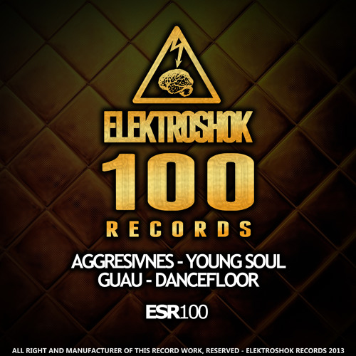 Stream Elektroshok Records | Listen to ESR100 Aggresivnes & Guau - Young Soul + Dancefloor TOP 9 ...