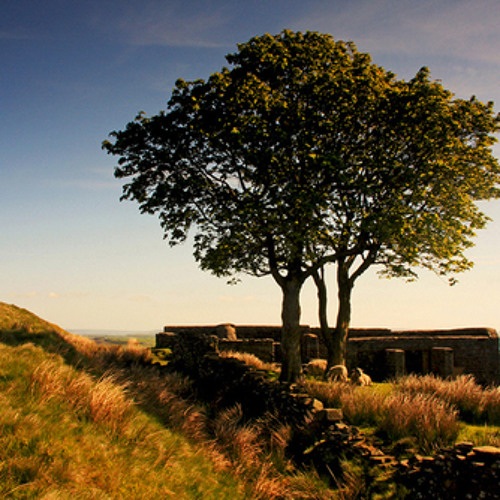 Stream Ghosting, Place And Wuthering Heights - James Quinnell by ...