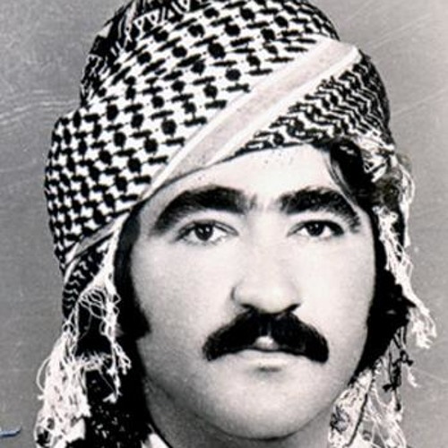 Stream HunarMand HaMa JaZa by Shex Kardo | Listen online for free on ...