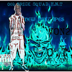 069 Brick Squad