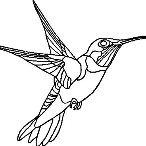 Stream Hummingbird Death Stall - Live, 20,000 Leagues Under the Stairs ...