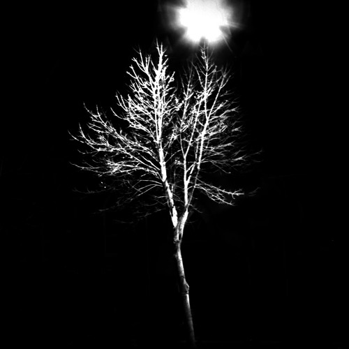 Stream Being Your Walls (Armor For Sleep Cover) by Evan Prunty | Listen ...