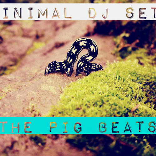 Stream Mr. Newton - Dj Set Minimal Mix 2013 by THE PIG BEATS | Listen ...