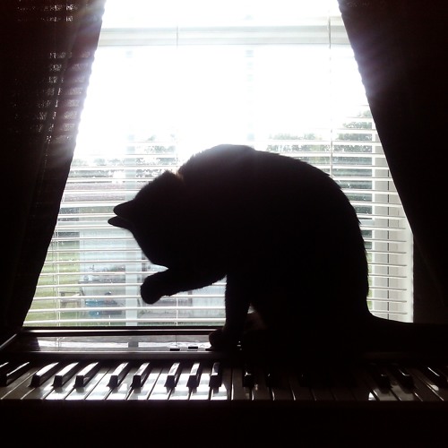 Stream Good Morning Night Shift by Rom Servo | Listen online for free ...