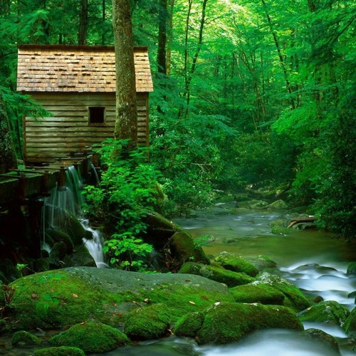 Stream El Dia En Que De Mi Te Enamores By Jay Listen Online For Free