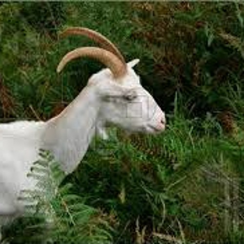 Stream episode Lesser - Known Effects Of Government Shutdown by WKXL ...