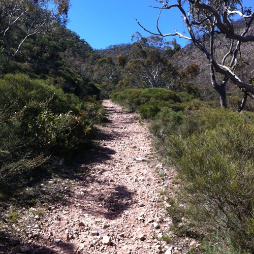 Stream Ascending by Jean-Michel GEORGE | Listen online for free on ...