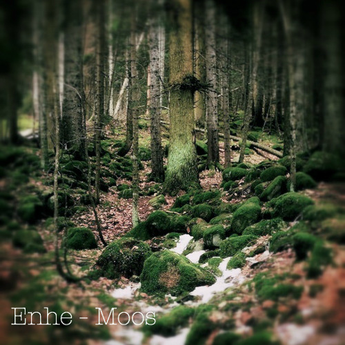 Stream Enhe - Moos by Enhe | Listen online for free on SoundCloud