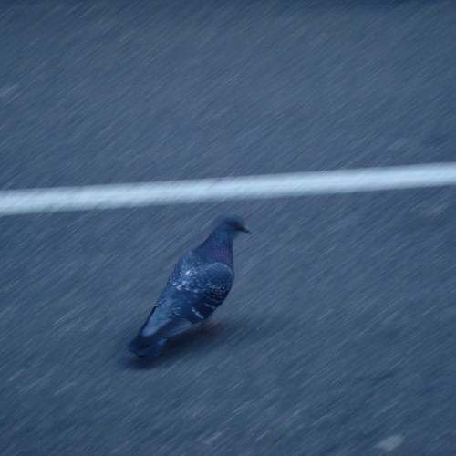 Stream Why Call Him God by ptero's etc uploads | Listen online for free ...