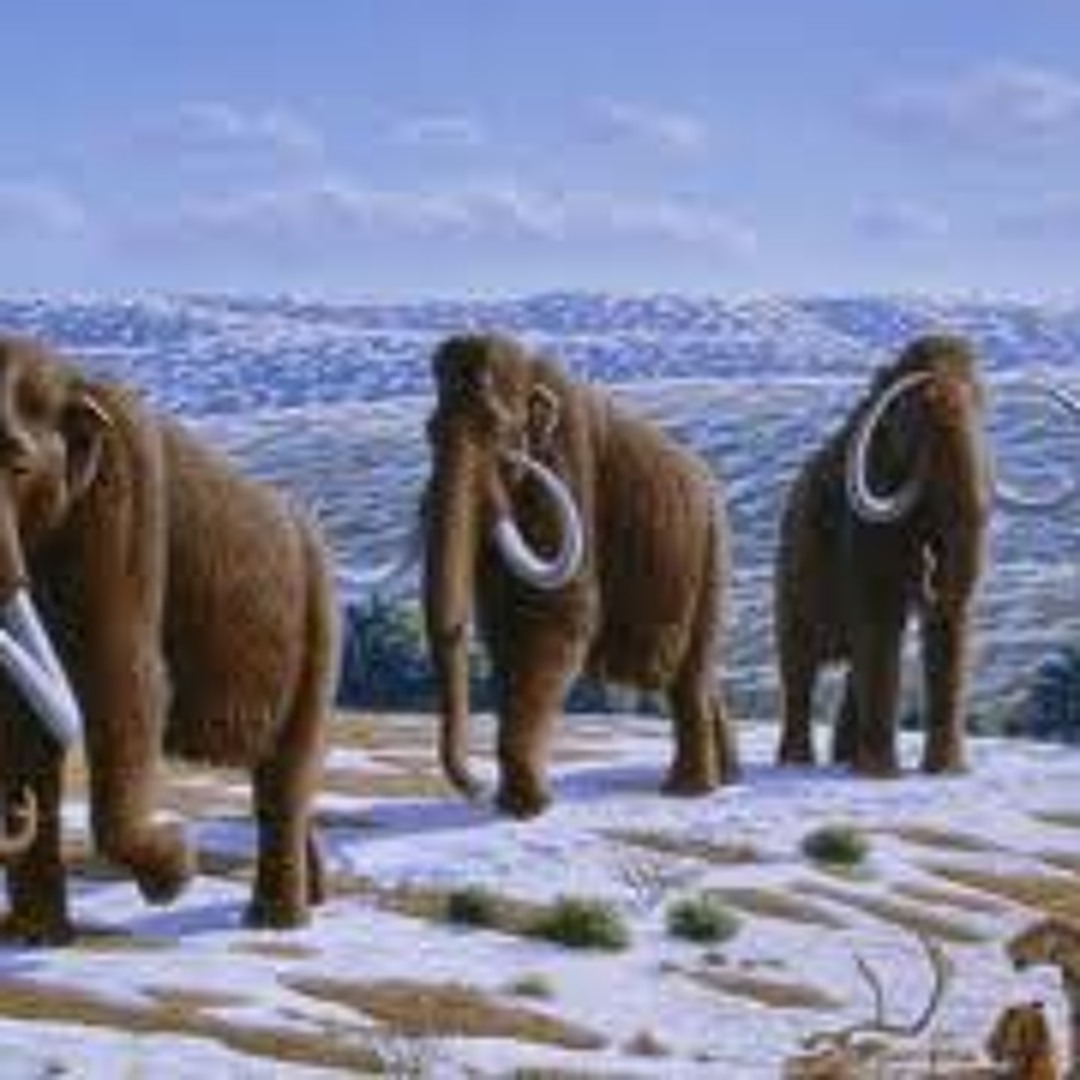 Stream David Zhang How to Clone a Woolly Mammoth by NeurotalkPenguins ...