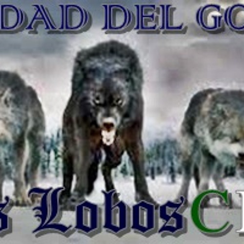Stream Los Lobos CDG... - Unidad Del Golfo(Mc Curvas) by Unidad Del ...