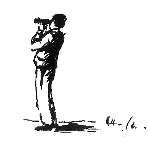 Stream 10 ‘Adventures with Storm-petrels’, read by Peter Harris by A ...