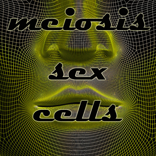 Stream Meiosis Sex Cells By Ep Perth Listen Online For Free On Soundcloud