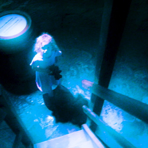 Stream Lead The Way by operandus modi | Listen online for free on ...