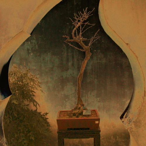 Stream Zanzibar by operandus modi | Listen online for free on SoundCloud