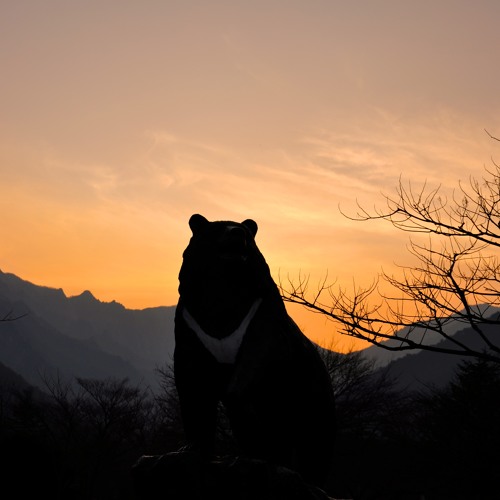 Stream The Triumphant Necromancers Final Twilight Conflict with the ...