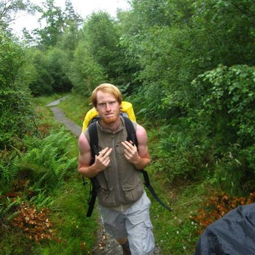 Stream The Nomadic Callum Rollo by Dengue Fever | Listen online for ...