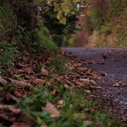 Stream Last Road Home by Dallen Michael | Listen online for free on ...