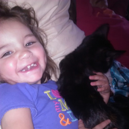 Stream Avicii Cover by jessika long | Listen online for free on SoundCloud