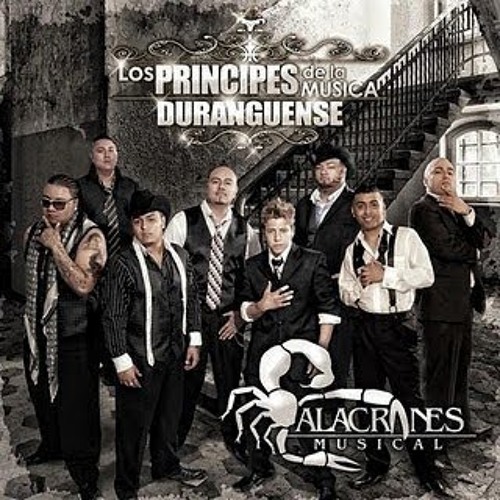 Stream ALACRANES MUSICAL No Voy A Llorar by ALACRANES MUSICAL | Listen ...