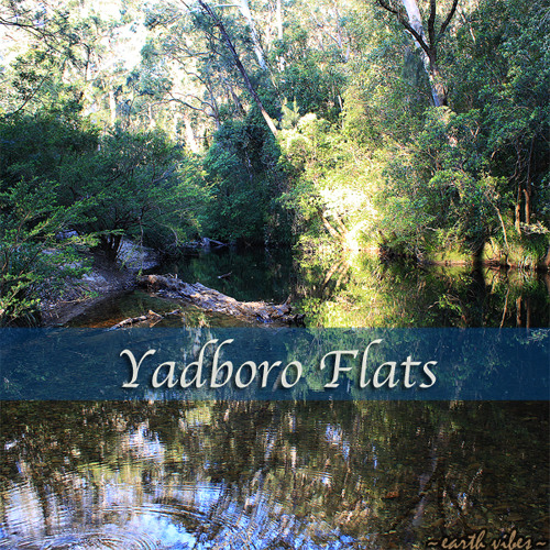 Stream Yadboro Flats, NSW, Australia by Earth Vibes | Listen online for ...