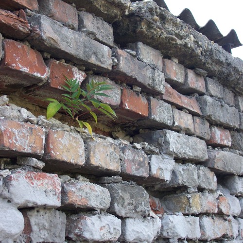 Stream Brick Wall by Easy P | Listen online for free on SoundCloud