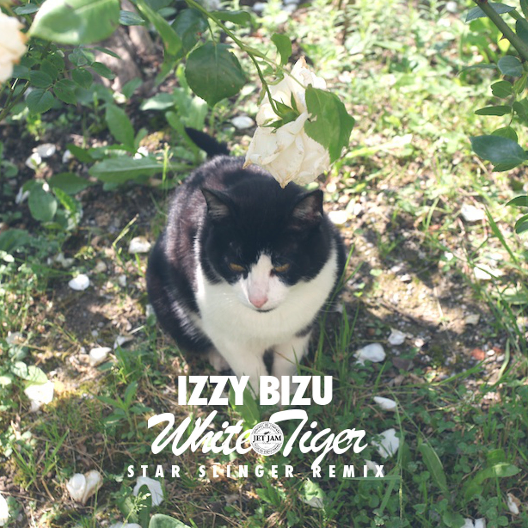 Stream Izzy Bizu - White Tiger (Star Slinger Remix) by Star Slinger ...