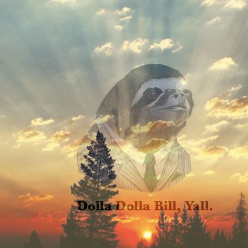 Sloth Wallpaper Dolla Dolla