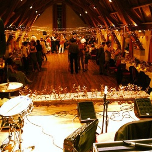 Stream Strip The Willow By Hotscotch Ceilidh Band Listen Online For