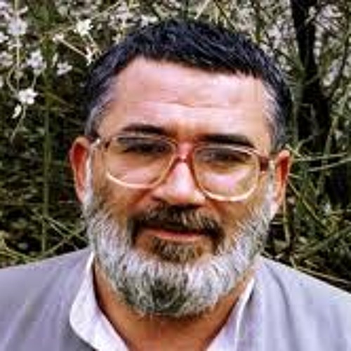 Stream Navid Habibi | Listen to عین صاد playlist online for free on ...