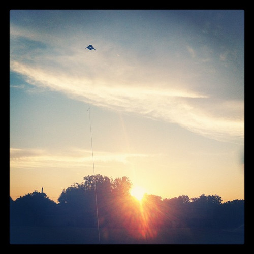 Stream Tyler and Mary- Home by Robert Coomber | Listen online for free ...