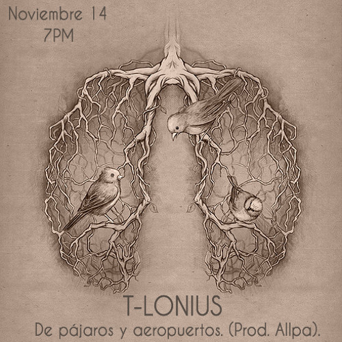 Stream De pájaros y aeropuertos. (Prod. Allpa) by T-lonius | Listen ...