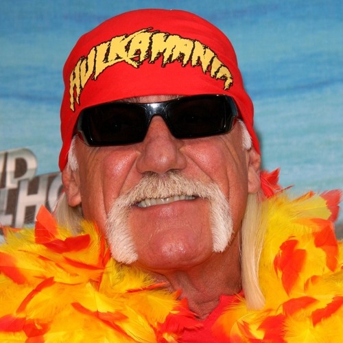 Hulk Hogan Hey Brother