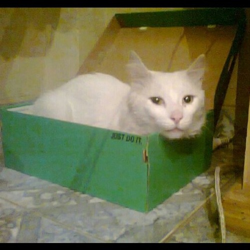 Stream Sebastian Souto | Listen to Me playlist online for free on ...