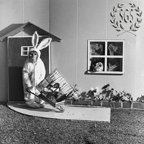 Stream Magic House by Spiritual Garage Sale | Listen online for free on ...