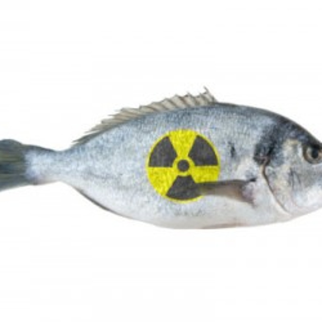 Stream radioactive fish (original) by emotional logic | Listen online ...