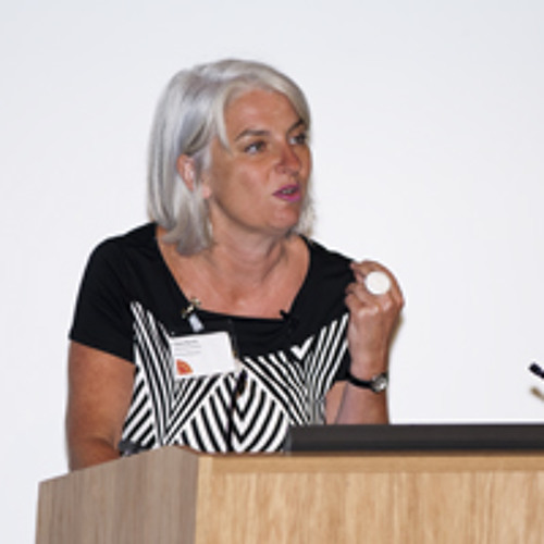 Stream 'The Digitally Distributed Museum and its Discontents' by Clare ...