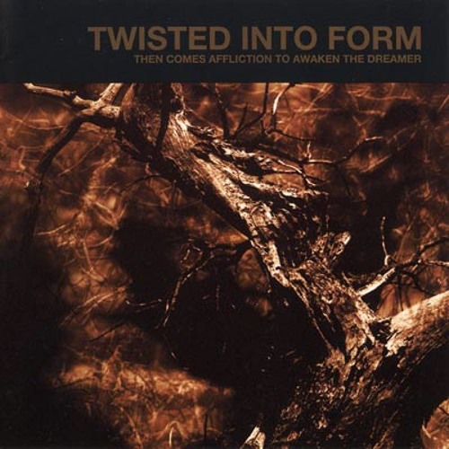 Stream Twisted into Form - The Flutter Kings by José Avilés Barrios ...