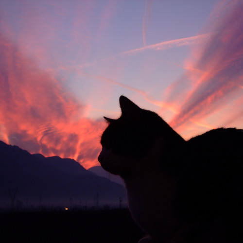 Stream 5 am by Effi Mera | Listen online for free on SoundCloud