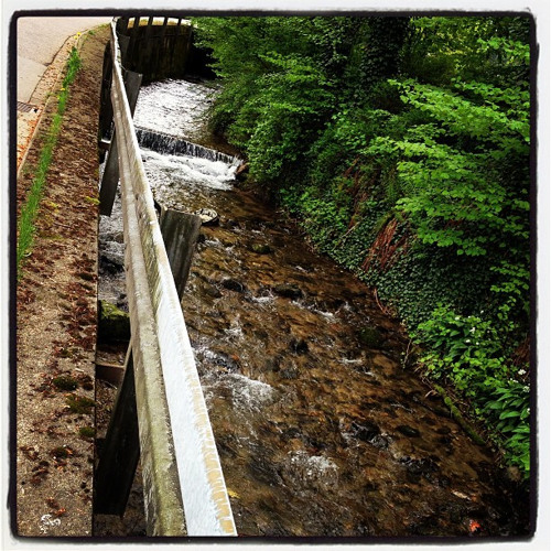 Stream Der Darm / Bağırsak by Sinem Altan | Listen online for free on ...