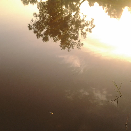 Stream Peter Willumsen | Listen to sommerfest playlist online for free ...