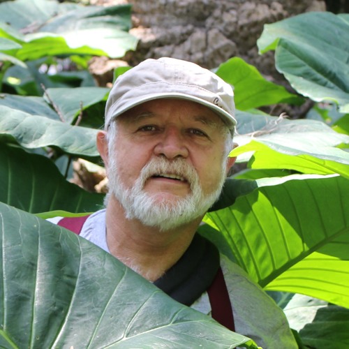 Stream "MI AMOR POR TI" Canta: Erandi Sanchez, Arreglo: Eduardo Tejedo ...