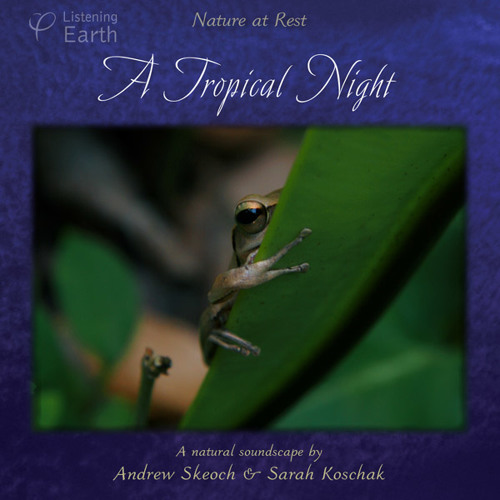 Stream 'A Tropical Night' - album sample by Listening Earth | Listen ...
